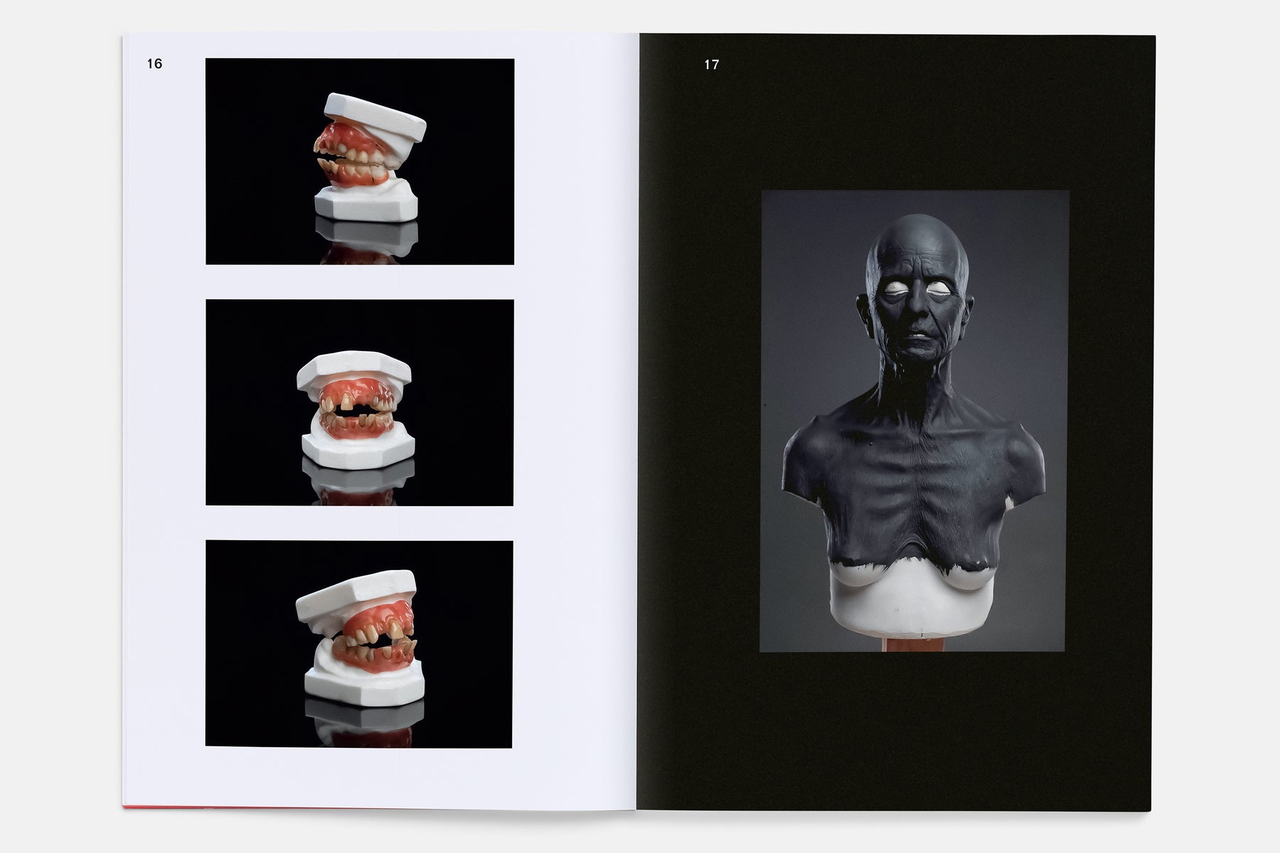 X Trilogy: Collector's Edition Box Set – A24 Shop